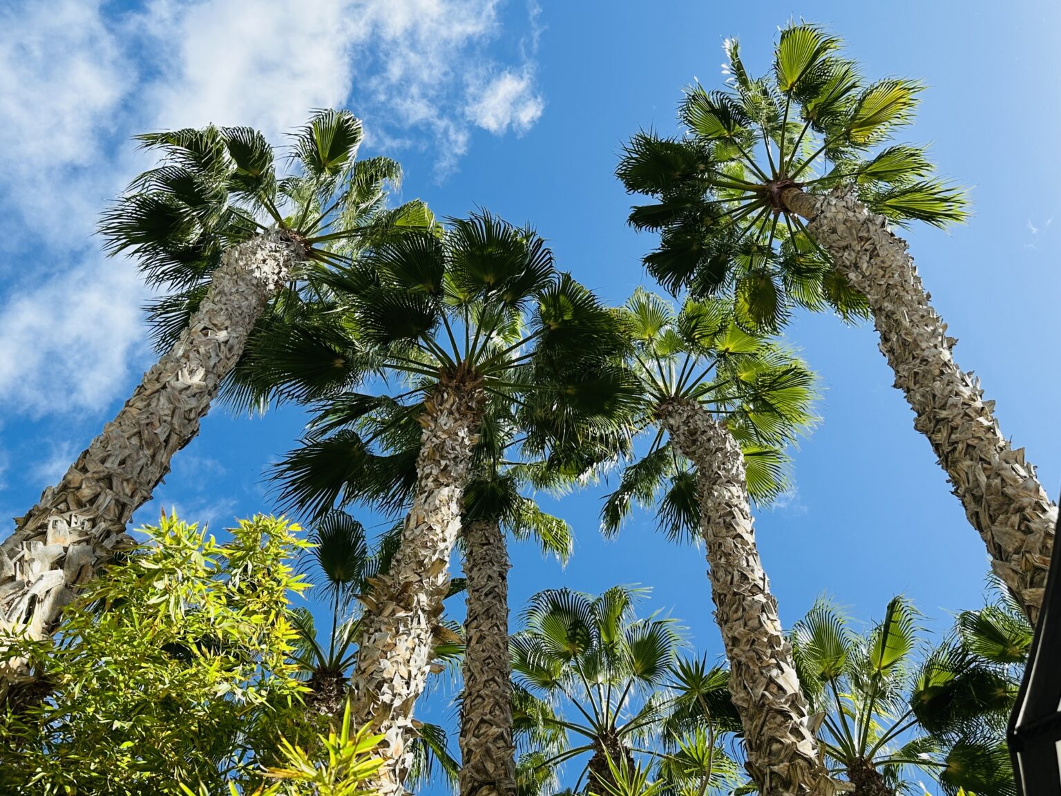 Aktuelt regnskab, selskabsret m.m. - Fakta Kurser